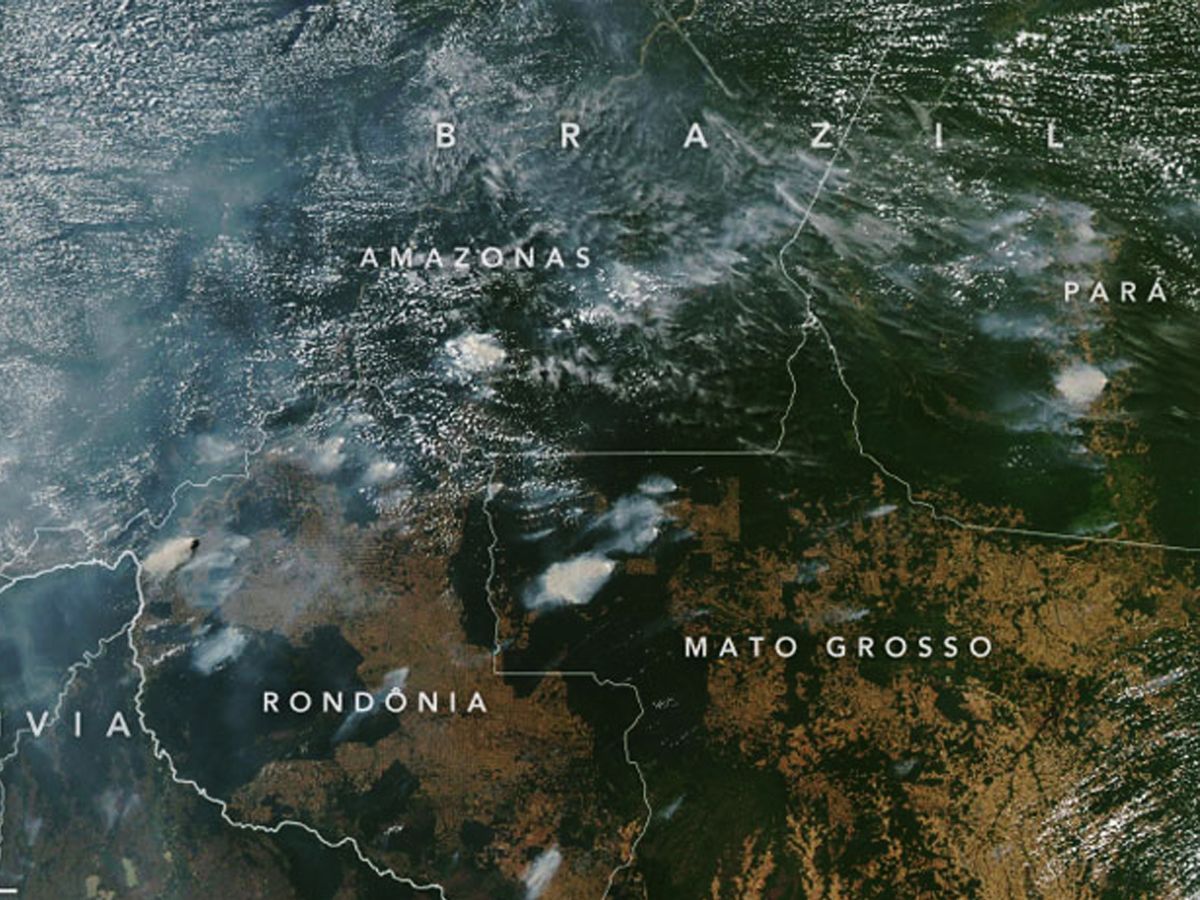 Amazon के जंगल में आग कितनी भयावह है, इसका अंदाज़ा आप नासा की इन ...