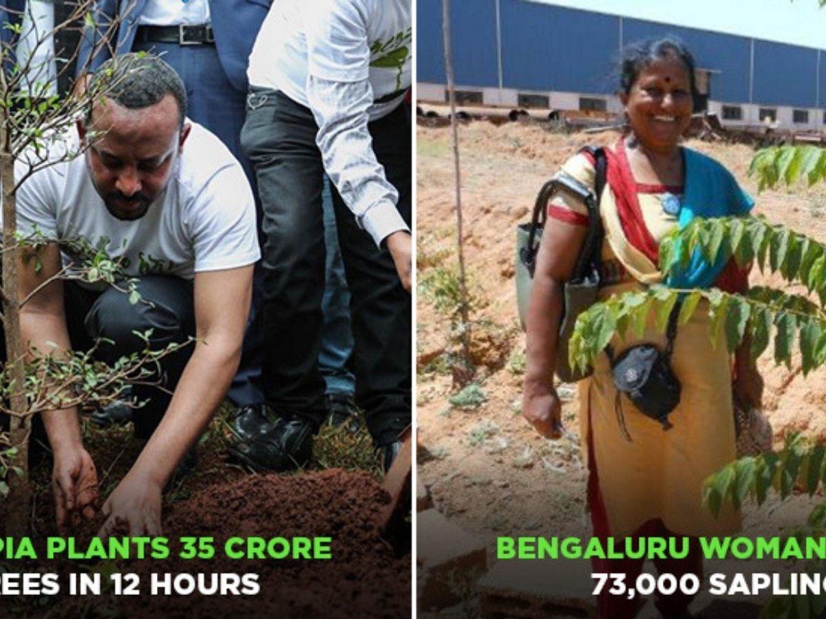 People Planting Plants