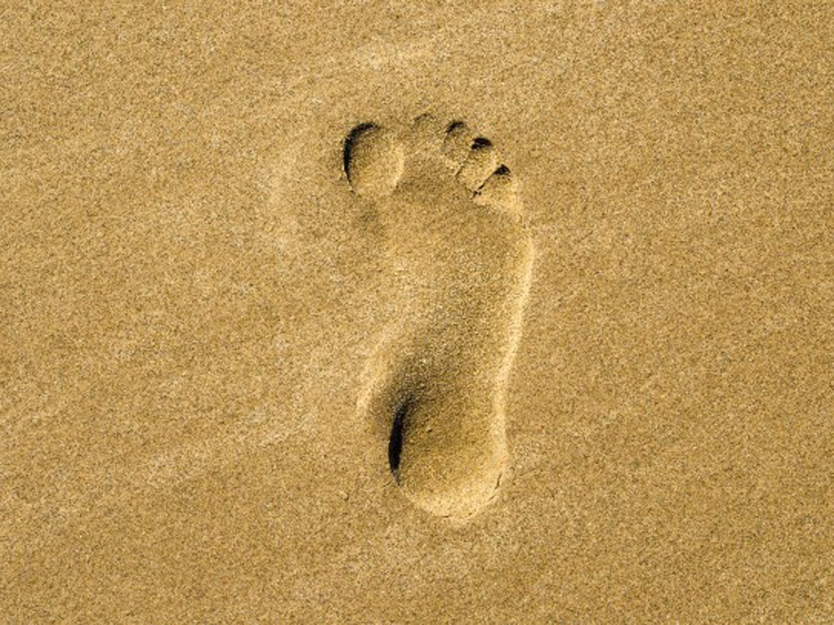 Scientists Find Oldest Human Footprint Dating Back Over 15,000 Years In ...
