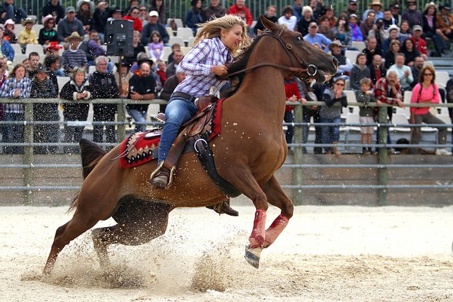 Top 6 rodeos around the world