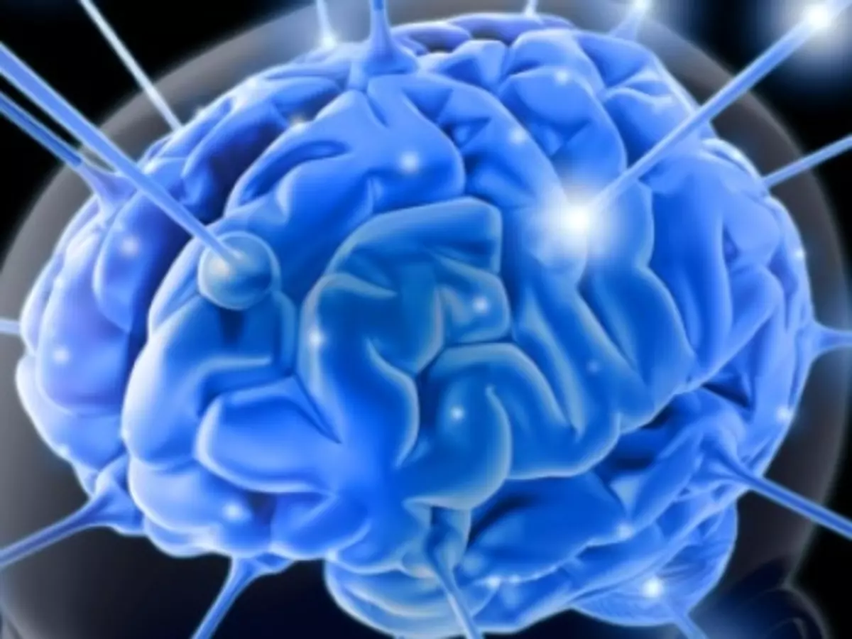 Human Beings Becoming Less Intelligent Human Beings Becoming Less Intelligent