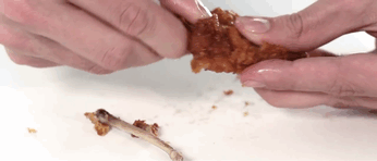 7 Food Items You've Been Eating Wrong All This While