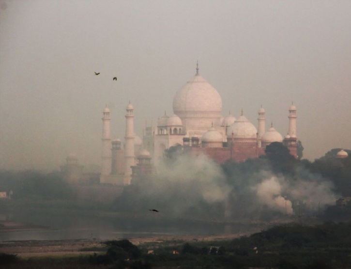 After Pollution, It Is An Insect Attack That's Destroying The Taj Mahal ...