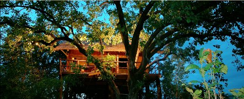 14 Tree-Houses In India Where You Can Feel At One With Nature And Not ...