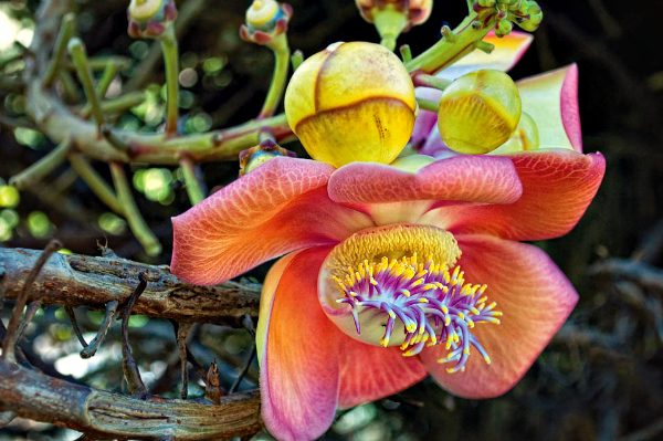 21 Weird Phobias You Won't Believe Exist