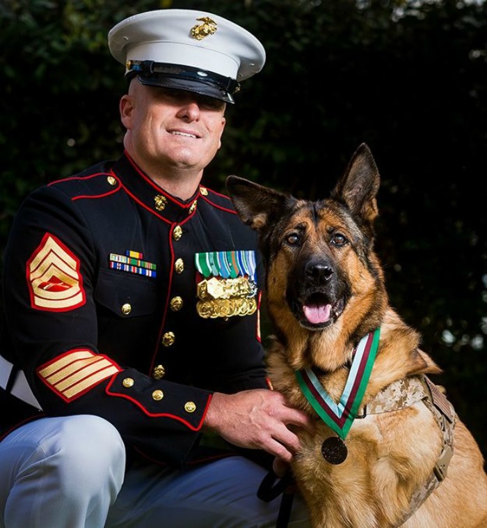 Military Dog Who Lost Her Leg In Afghanistan Gets The Highest Bravery ...