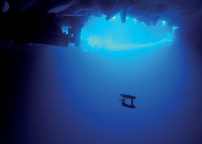 This Little Submarine Robot Gives Us A Rare Glimpse Into The Life Under ...
