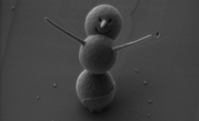 You're Looking At A Magnified Version Of The World's Smallest Snowman ...