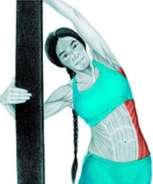 34 Amazing Illustrations That Show Which Muscle Groups Are Affected ...