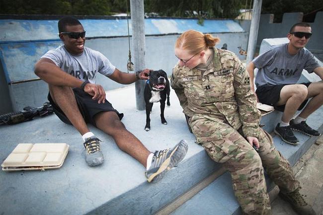 19 Touching Pictures That Prove Just How Magical Animal Therapy Can Be