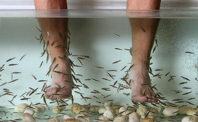 19 Touching Pictures That Prove Just How Magical Animal Therapy Can Be