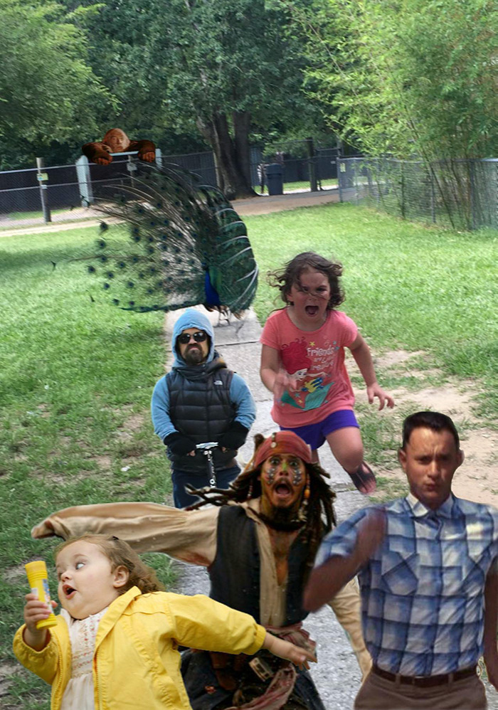 Internet Turns This Terrified Girl's Escape From A Peacock Into Some ...