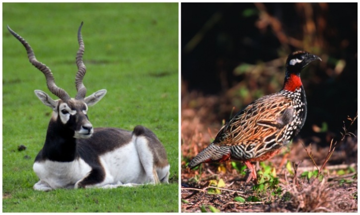 Did You Know That Every State And Union Territory Of India Has A State ...