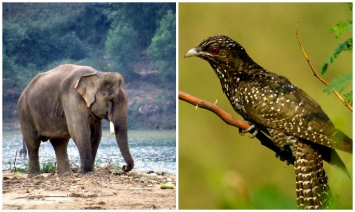 Did You Know That Every State And Union Territory Of India Has A State ...