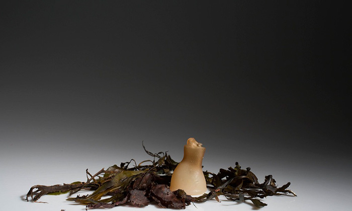 Man Invents Algae Water Bottles As A Greener Alternative To Plastic To ...