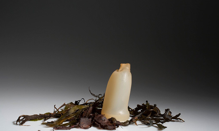 Man Invents Algae Water Bottles As A Greener Alternative To Plastic To ...