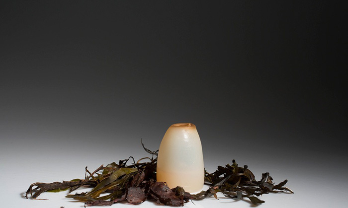 Man Invents Algae Water Bottles As A Greener Alternative To Plastic To ...