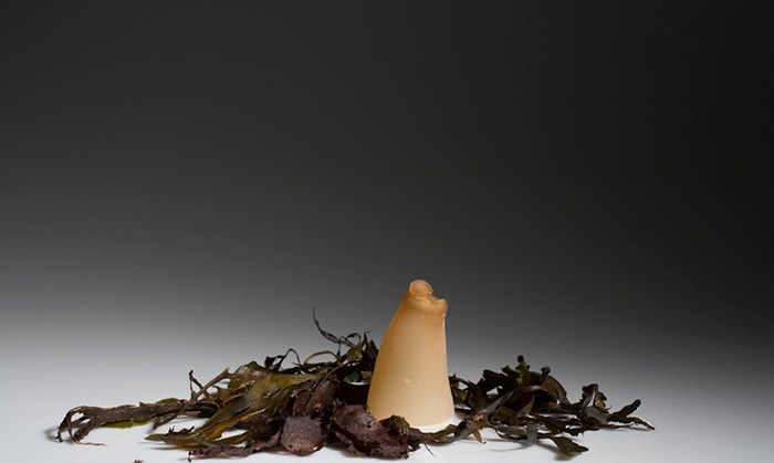 Man Invents Algae Water Bottles As A Greener Alternative To Plastic To ...