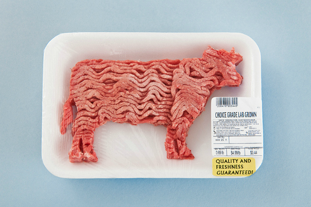 Indian American Scientist Has Created Meat That You Can Grow In The Lab ...