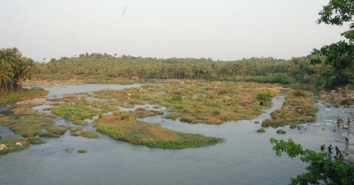 The Thoothapuzha River In Kerala Has Got A New Lease Of Life Thanks To ...