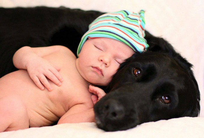 26 Photos That Beautifully Capture The Eternal Bond Between Babies And ...