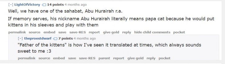 World Famous Saudi Cleric Says Muslims Can't Take Selfies With Cats