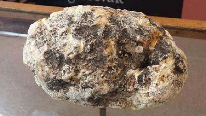 Here Is The Story Of How 'Whale Vomit' Turned Fortunes of Three Omani ...