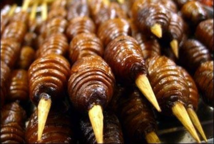 23 Of The World's Weirdest Dishes That Promise To Make Your Stomach Churn