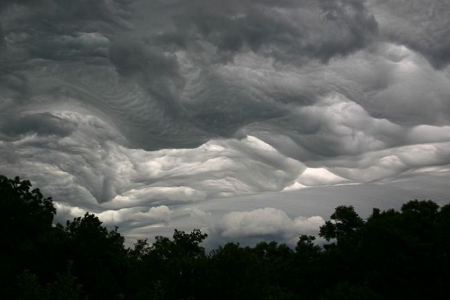 Here's What You Need To Know About Undulatus Asperatus - Mother Earth's ...