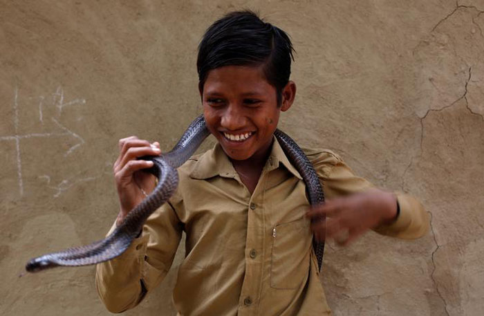 These Are India's Last Surviving Snake Charmers Of Jogi Dera In Uttar ...