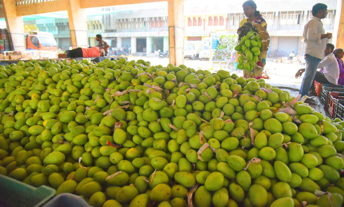 Three Years After #ModiMango, Mango Man Haji Kalimullah Brings Us The ...