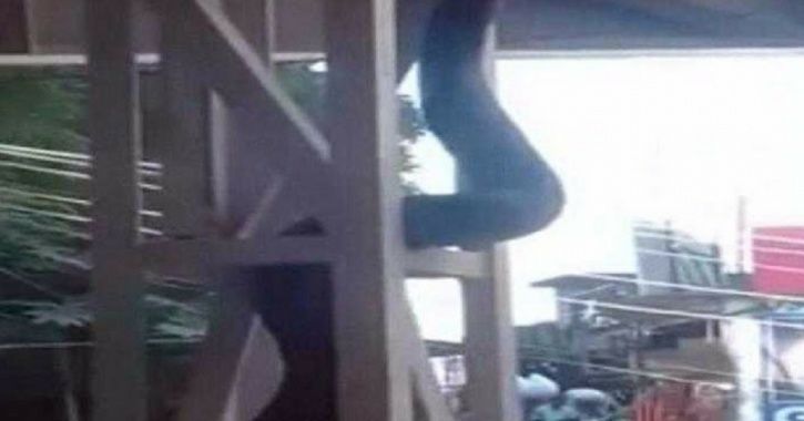 Yikes! Massive 15-Ft Python Hanging Out At Jammu's Katra Station Leaves ...