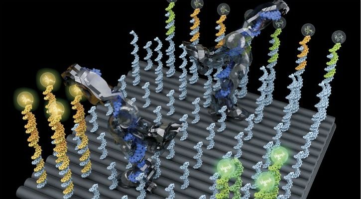 Nanobots Built From Our DNA Will Soon Transport Medicine In Our Bodies ...