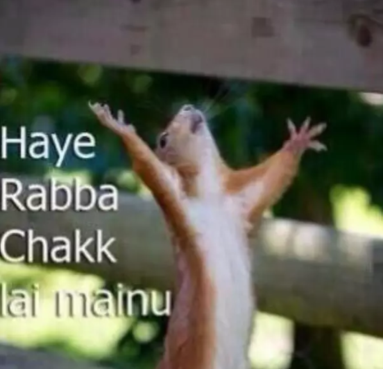 11 Hilarious Memes That'll Make EVERY Punjabi Go 'SO True!'