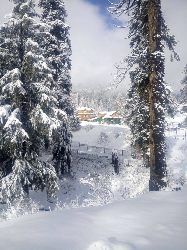 As The Sun Tries To Roast Us Alive, Kashmir Welcomes Fresh Snowfall In ...