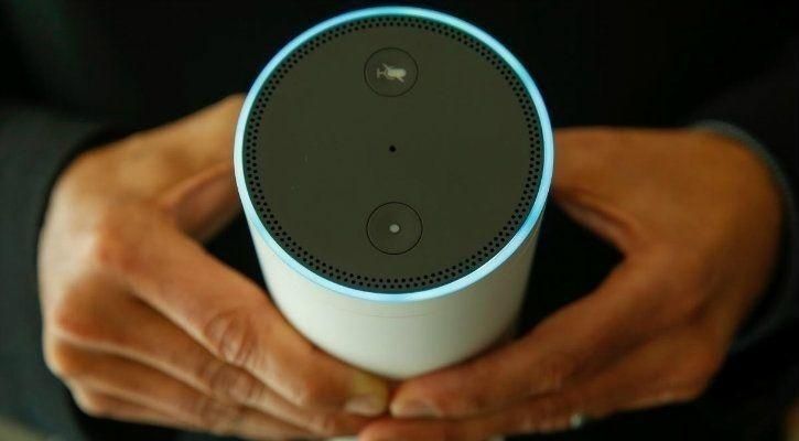 This Parrot Has "Fallen In Love" With Amazon's Alexa And Uses It To ...