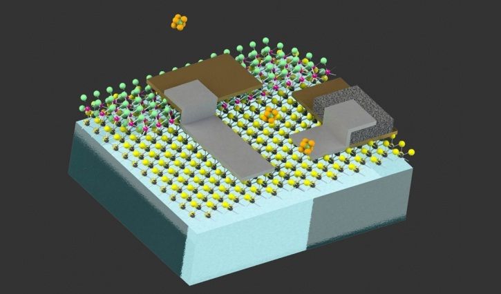Scientists Build Tiny Robots That Will Go Through Your Body To Cure ...