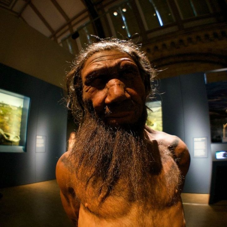 Understanding The History Of Emotions Can Help Us Understand And ...