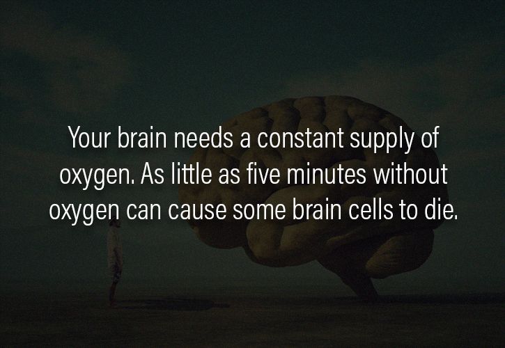 These Interesting Facts About Human Brain Will Blow Your Mind Away