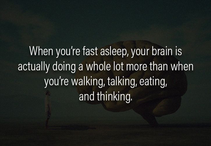 These Interesting Facts About Human Brain Will Blow Your Mind Away