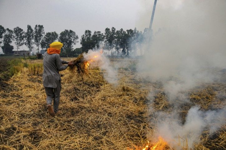 Despite Ban And Penalties, Stubble Burning Has Only Increased This Year