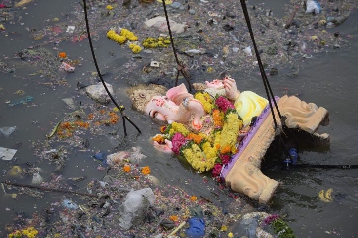 Ganpati Visarjan: Thousands Of Dead Turtles, Fish And Water Snakes ...
