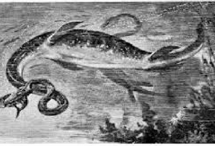 11 Unsolved Ocean Mysteries That Will Give You Nightmares