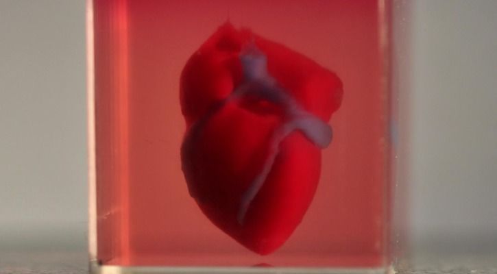 Israeli Scientists Build World's 1st 3D-Printed Human Heart Using ...