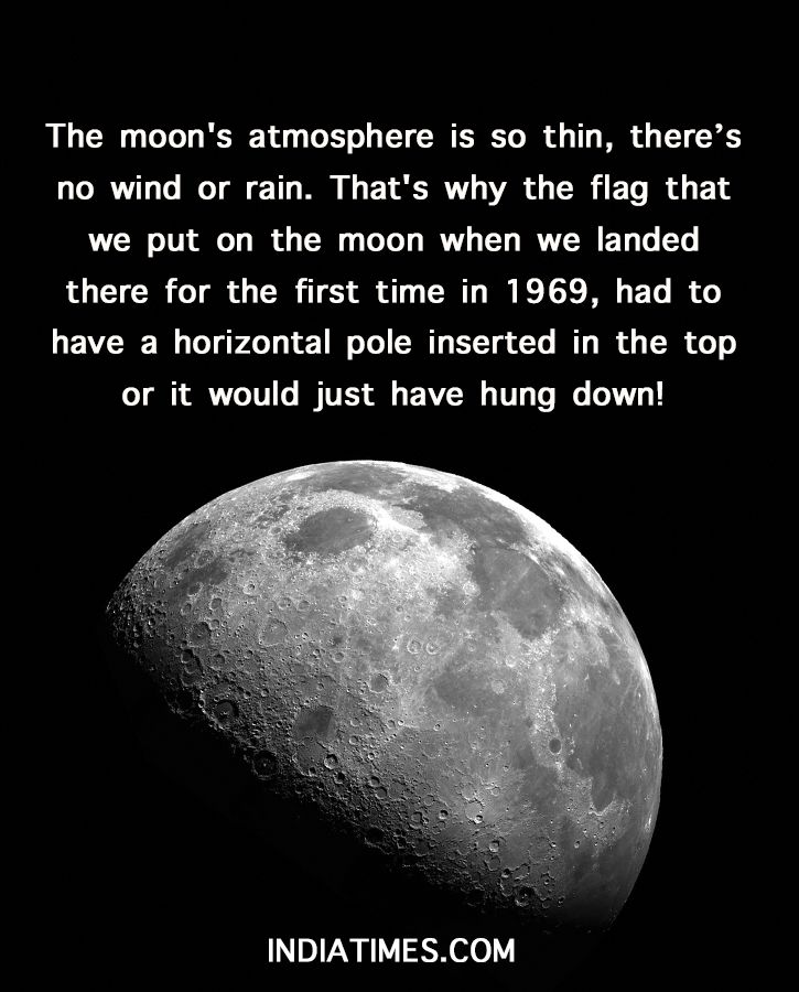 Moon Facts:11 Surprising Facts About The Moon That We Bet You Had No ...