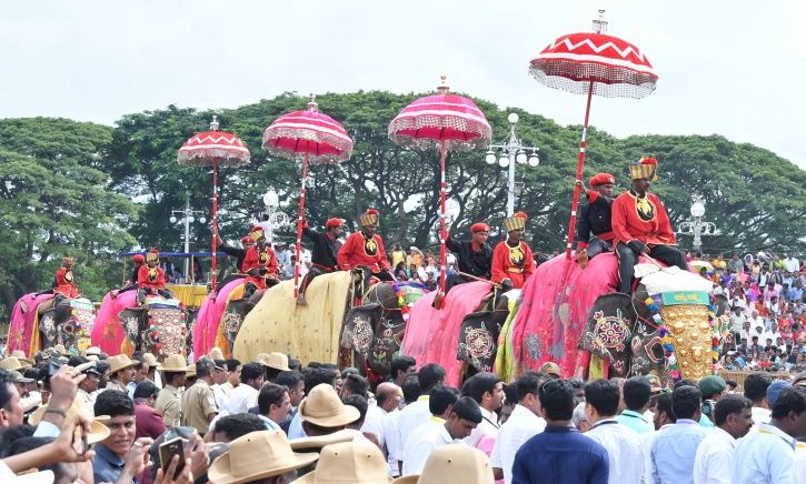 Mysuru's Famed Dasara Elephant And Gentle Giant 'Drona' Dies Of Heart ...