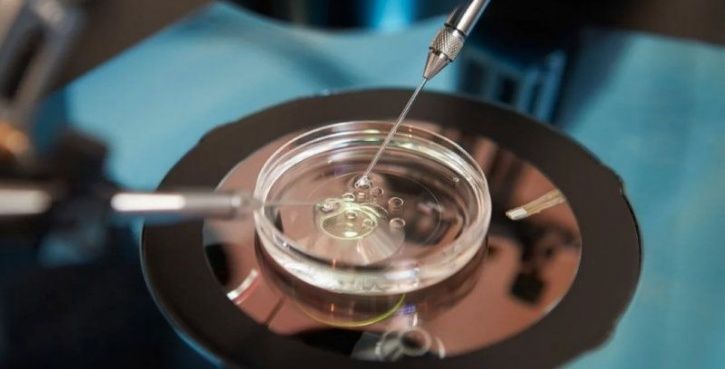 Scientists Have Developed A 'Lifelike' DNA Material That Grows New ...