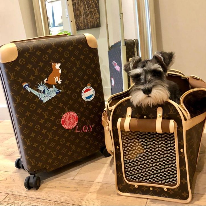 rich dogs of Instagram:Oddly Obsessed: These Rich Dogs Of Instagram Are ...