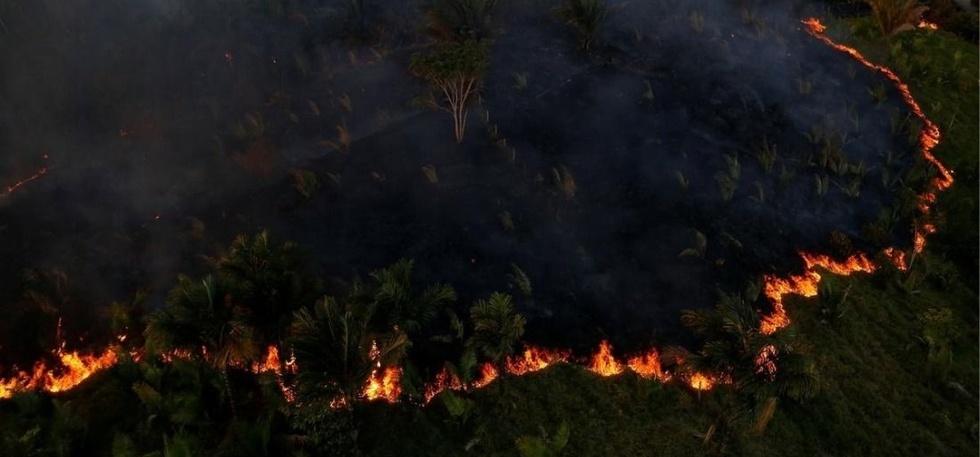 Amazon:The Amazon Rainforest Is In Serious Danger, And Why Protecting ...