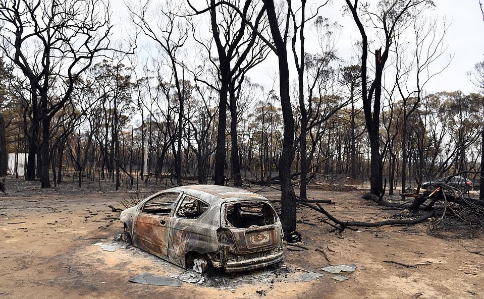 Heartbreaking Image Shows A Firefighter And Koala Helplessly Watching ...